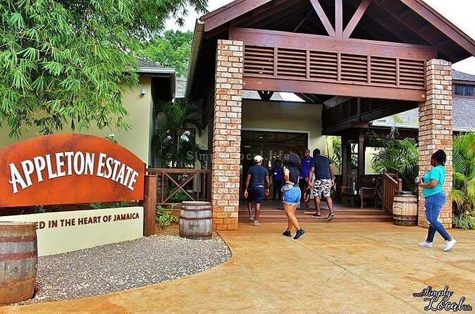 Appleton Estate, Ys Falls and Black River Safari Private Tour - Analyzing the Value