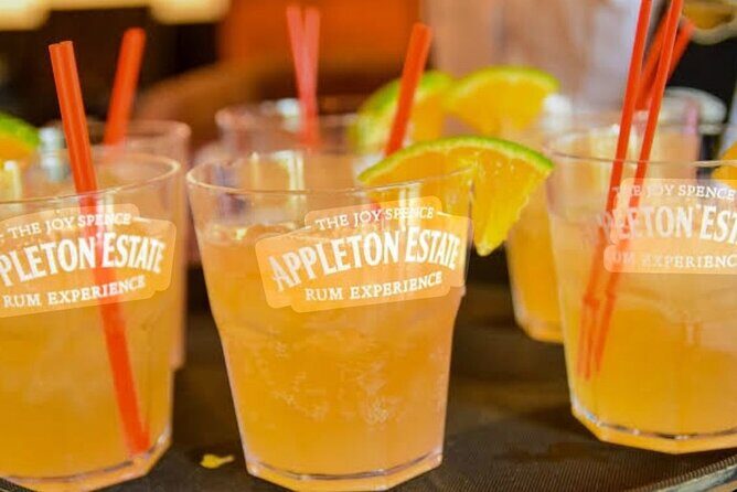 Appleton Estate, YS Falls and Pelican Bar Day Trip from Kingston - Exploring the Itinerary in Detail