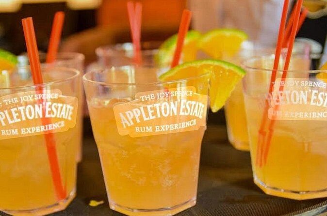 Appleton Estate, YS Falls and Pelican Bar Day Trip from Kingston - Practical Tips for Participants