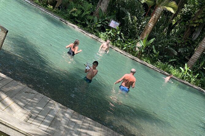 Appleton estate,YS Falls,Black River Safari,Pelican Bar(any 3of4) - The Sum Up