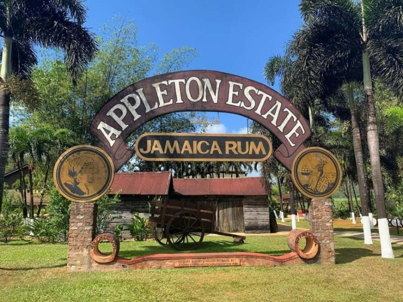 Appleton Rum Factory and Black River Safari Tour - Discovering the Tour: A Practical Breakdown