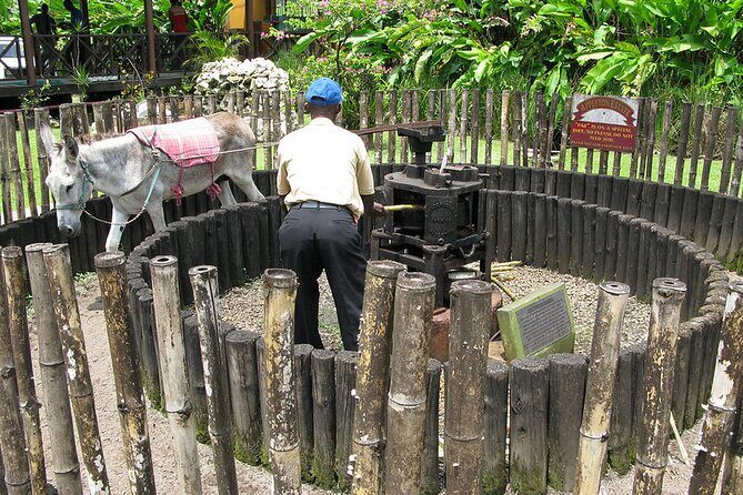 Appleton Rum Tour and Floyds Pelican Bar from Montego Bay Hotels and Villas - FAQ