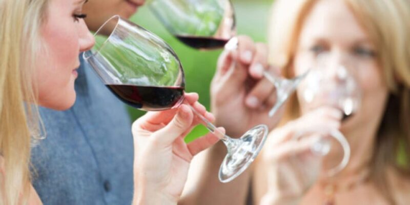 Apulia: Guided Vineyard Tour with Wine Tasting - Tasting the Fruits of the Labour