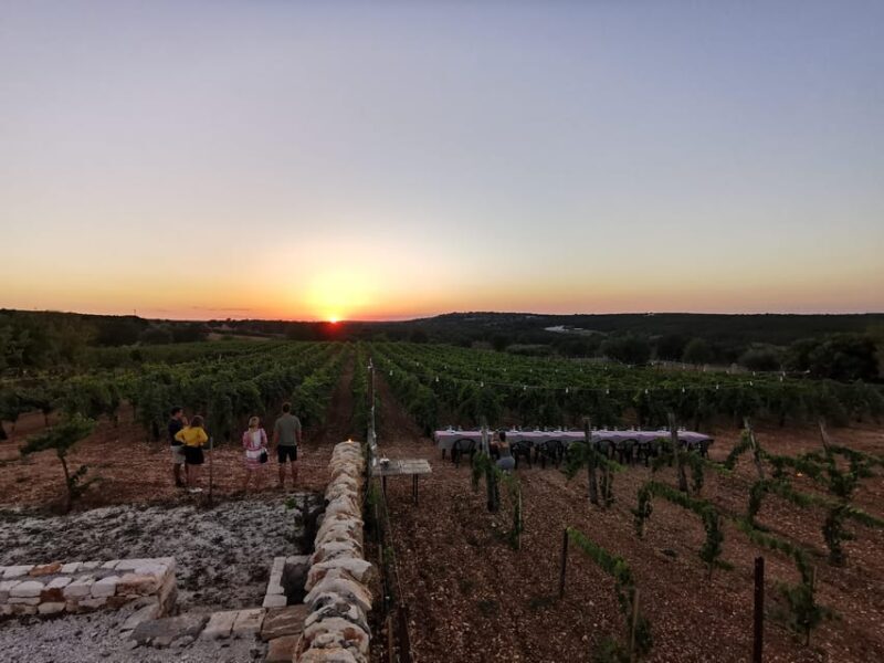 Apulia: Guided Wine Tasting with Local Appetizers - Discovering the Heart of Apulian Wine