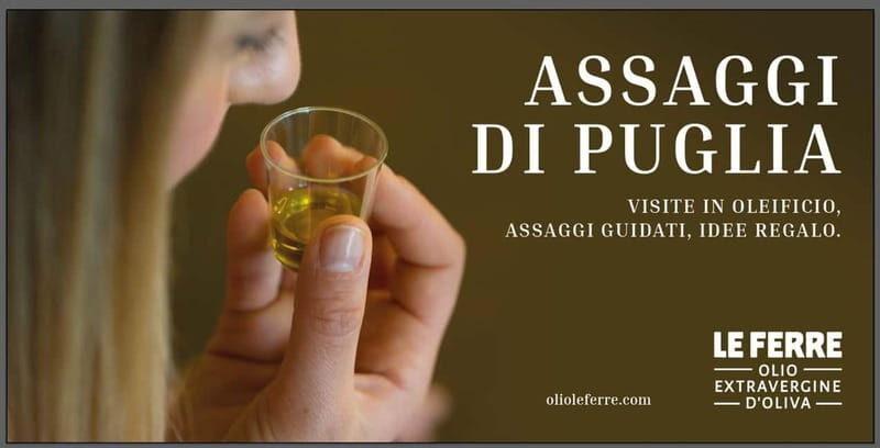 Apulia: oil tour, from field, to bottle, to food matching - Key Points