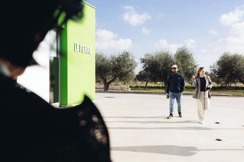 Apulia: oil tour, from field, to bottle, to food matching - The Sensory Experience: Tasting and Recognizing Olive Oil
