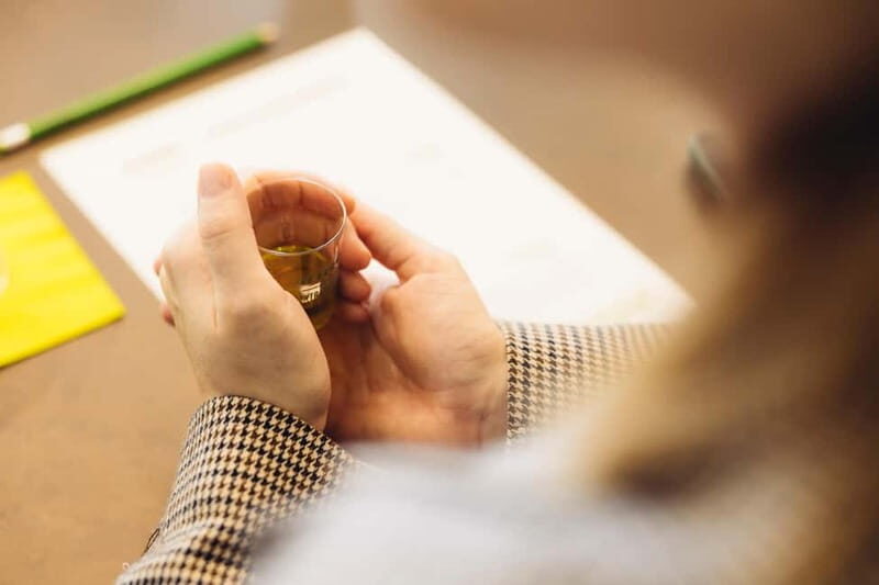 Apulia: oil tour, from field, to bottle, to food matching - Who Should Book This Tour?
