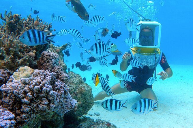 Aqua Safari Introductory Helmet Dive (Underwater Walk) - A Full, Honest Look at the Experience