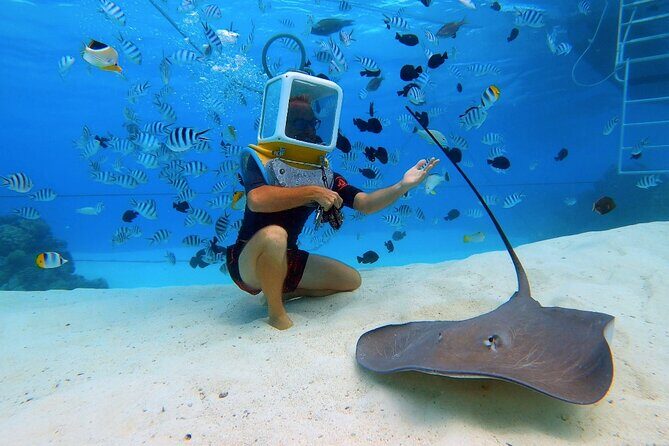 Aqua Safari Introductory Helmet Dive (Underwater Walk) - Frequently Asked Questions (FAQ)