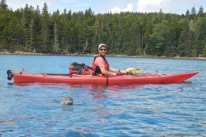 Aqua Safari Kayak tour departing Southwest Harbor - Final Thoughts: Is It Worth It?