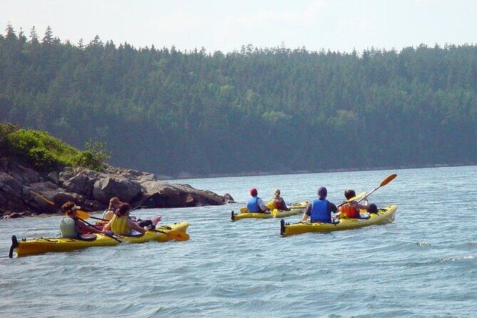 Aqua Safari Kayak tour departing Southwest Harbor - FAQs