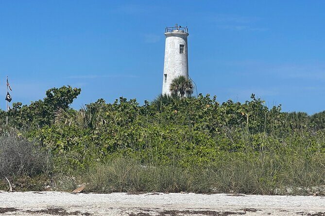 Aqua Sol Adventures-4.5 hour Private Snorkeling,Dolphin,shelling - The Sum Up: Who Is This Tour Best For?