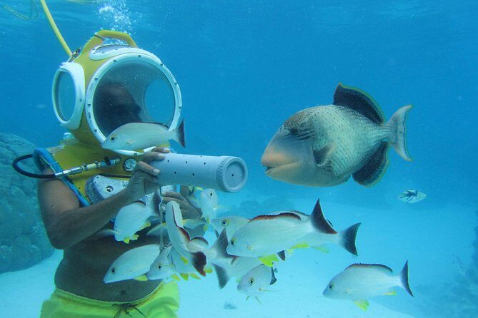 Aquablue Moorea - The Logistics: Booking, Duration, & Group Size