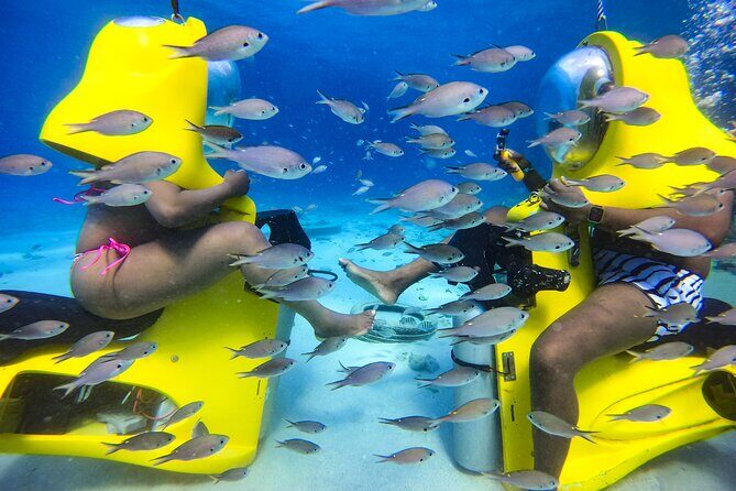 Aquafari Tour in Curaçao - What Youll Need & Practical Tips