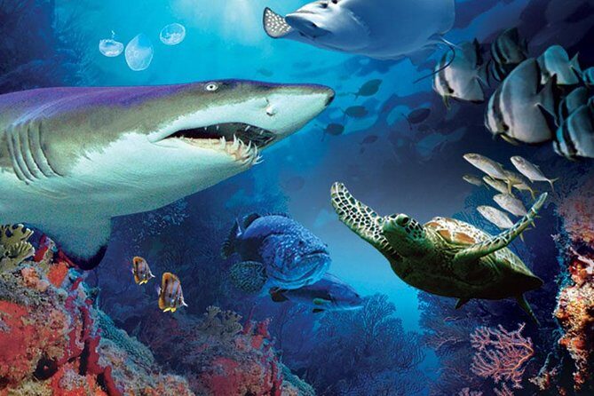 Aquaria KLCC Admission with Kuala Lumpur City Famous Landmarks - Key Points