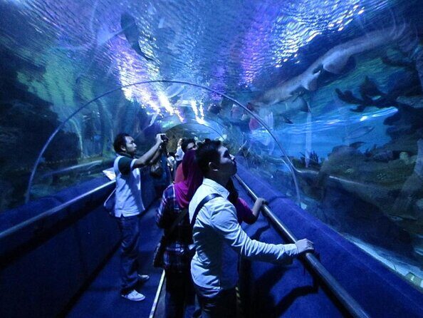 Aquaria KLCC E-Ticket With Transfer - Key Points