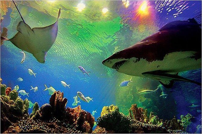 Aquaria KLCC Ticket - Key Points