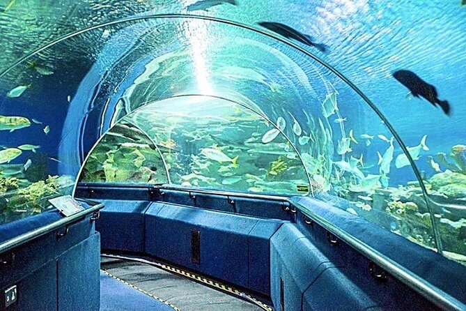 Aquaria KLCC Ticket - An In-Depth Look at What You Can Expect