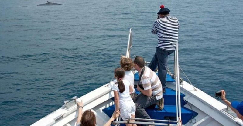 Aquarium of Genoa Ticket and Whale Watching Cruise - Key Points