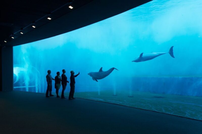 Aquarium of Genoa Ticket and Whale Watching Cruise - The Value and Practicalities