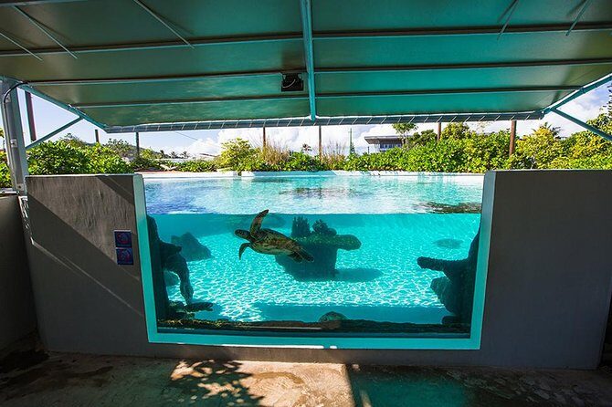 Aquarium Package in Nouméa's with Admission with Hop-on Hop-Off - FAQs