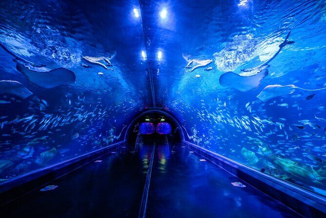 Aquarium Phuket and AR Trick Eye Museum Combo Tickets - Introduction