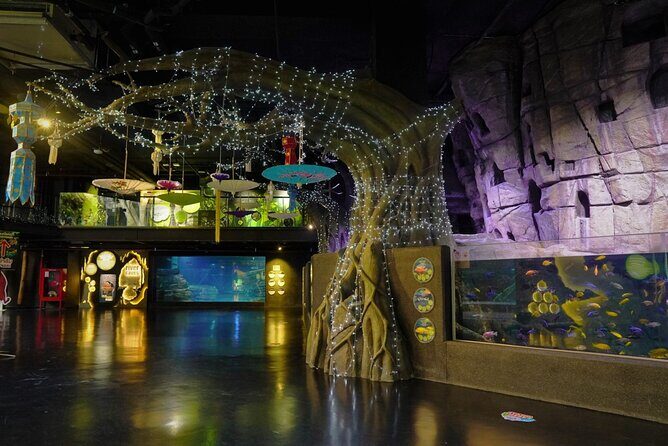 Aquarium Phuket and AR Trick Eye Museum Combo Tickets - Key Points