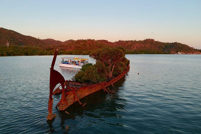 Aquascene Magnetic Island Sunset & Shipwreck Tour - An In-Depth Look at the Experience