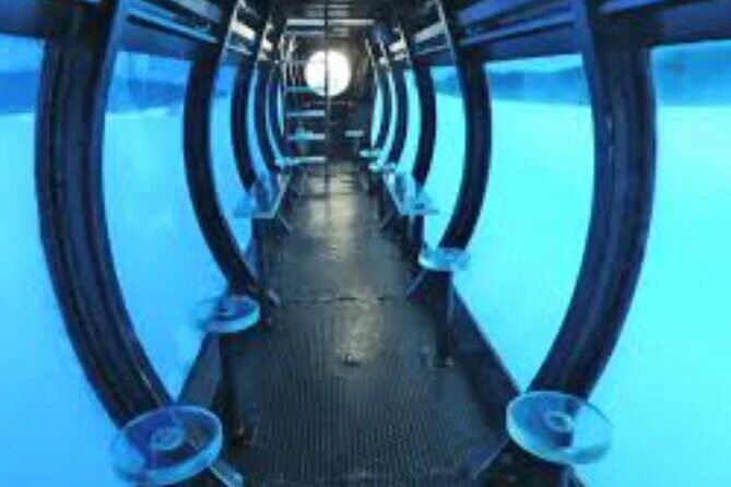 Aquaspace Morning Sail and Snorkel Tour on Bonaire with Lunch - Who Will Love This Tour?