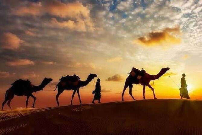 Arabian Night with Cultural Show - What’s Included and What’s Not