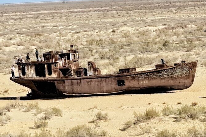 Aral Sea One Day Tour from Tashkent - What’s It Like to Travel from Tashkent to the Aral Sea?