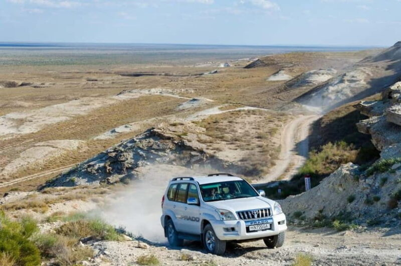 Aral Sea One Day Trip from Nukus. - Key Points