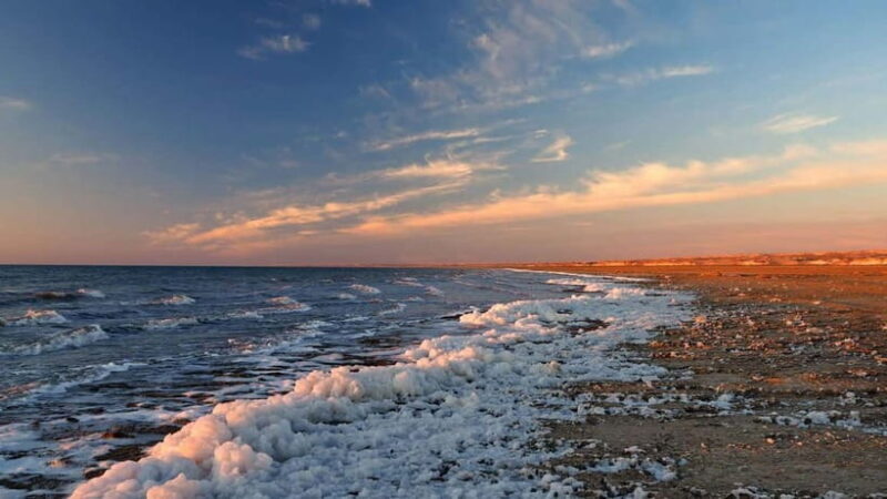 Aral Sea Tour from Nukus 1 night / 2 days - A Deep Dive into the Experience: What You’re Really Getting