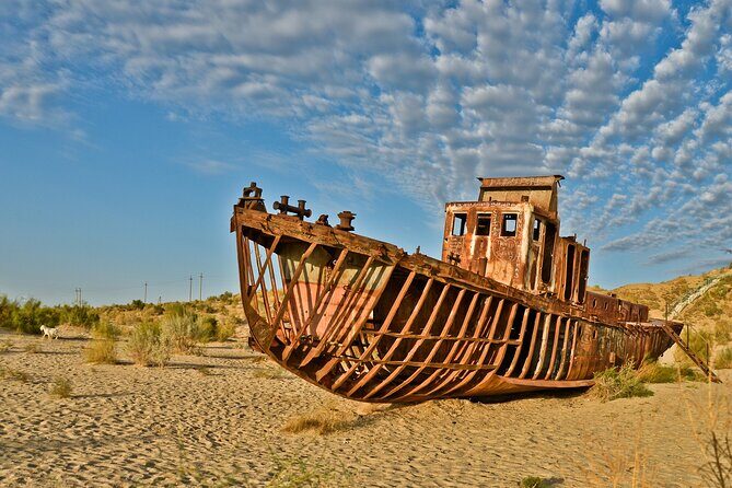 Aral Sea Tour with Khiva-Samarkand and Bukhara and Tashkent - Transportation and Comfort