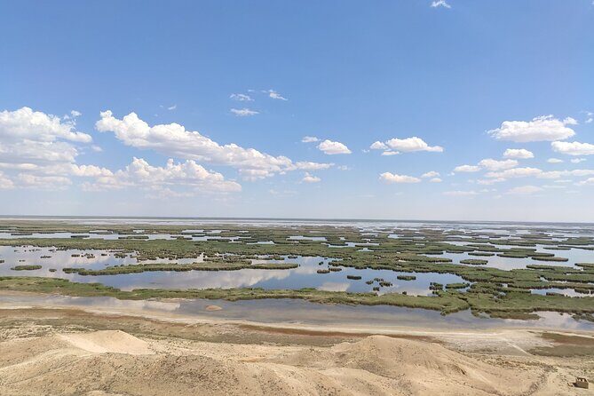 Aral Sea Tour with Khiva-Samarkand and Bukhara and Tashkent - The Sum Up: Who Should Consider This Tour?