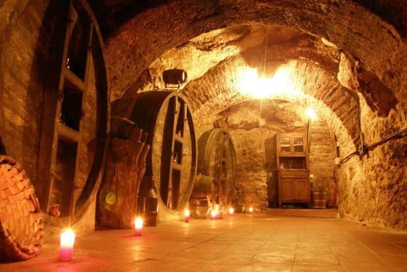 Aranda de Duero: Guided and Dramatized Visit to Medieval Wi - Key Points