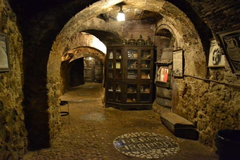 Aranda de Duero: Guided and Dramatized Visit to Medieval Wi - Exploring the Experience: What to Expect from the Tour