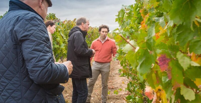 Aranda de Duero: Martín Berdugo Winery - Tour and Tasting - An authentic journey into Spain’s Ribera del Duero