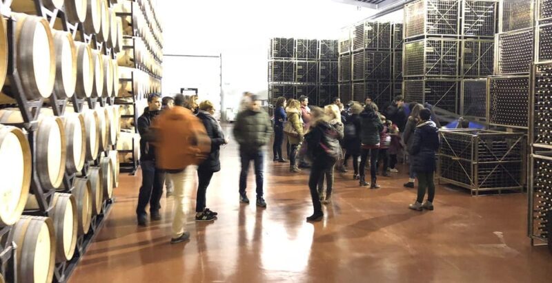 Aranda de Duero: Martín Berdugo Winery - Tour and Tasting - What to Expect During the Tour