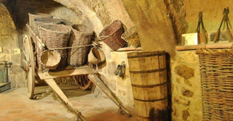 Aranda de Duero: Tour of Underground Cellar and Wine Museum - Who Should Consider This Tour
