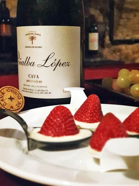 Aranda de Duero: Wine Pairing Tasting Course & Mini Tapas - The Itinerary: An In-Depth Look