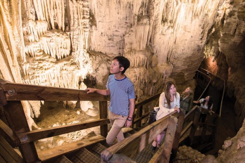 Aranui Cave 1-Hour Guided Tour - Key Points