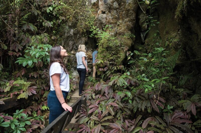 Aranui Cave 1-Hour Guided Tour - Final Thoughts
