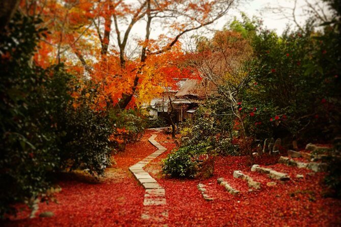 Arashiyama Bamboo Forest & Hidden Gems Bike Tour (Early Bird) - Who Should Consider This Tour?