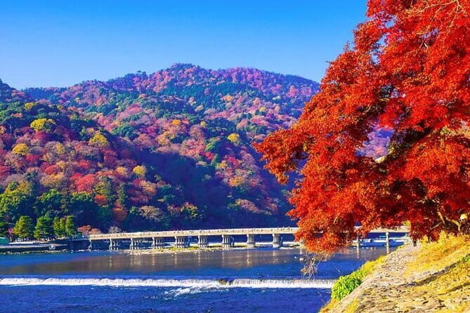 Arashiyama Bamboo & "Must See" Gardens with an Amazing Guide - A Deeper Look into the Experience