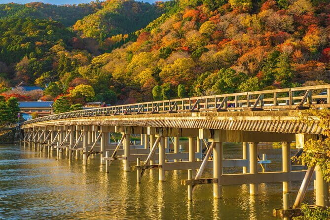 Arashiyama Bamboo & "Must See" Gardens with an Amazing Guide - What the reviews tell us