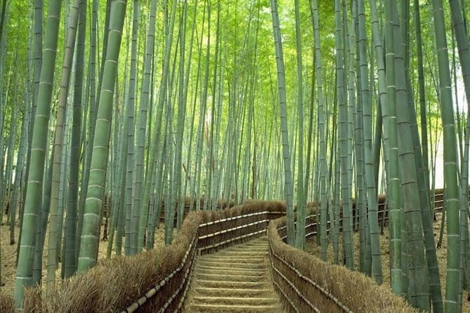 Arashiyama Bamboo & "Must See" Gardens with an Amazing Guide - FAQs