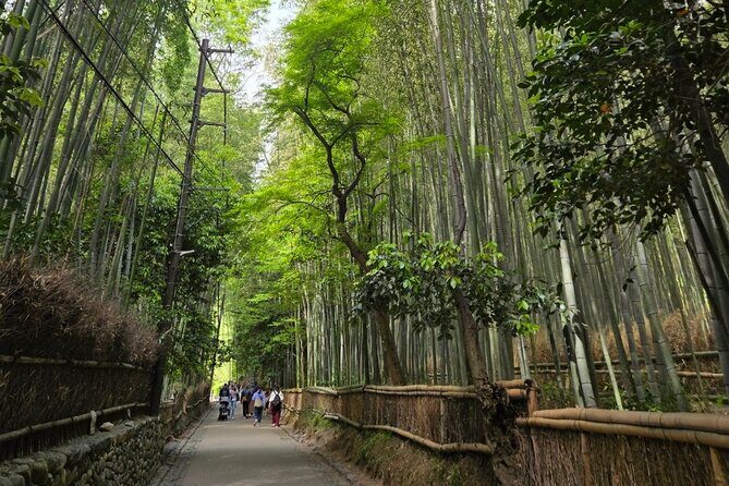 Arashiyama Half Day Tour - Key Points