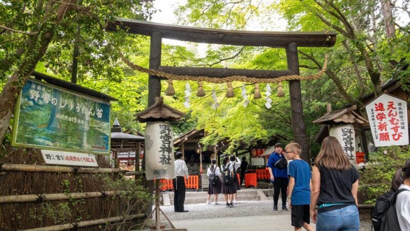Arashiyama Hidden Gems: Walking Tour escaping crowds - Who Is This Tour Best For?
