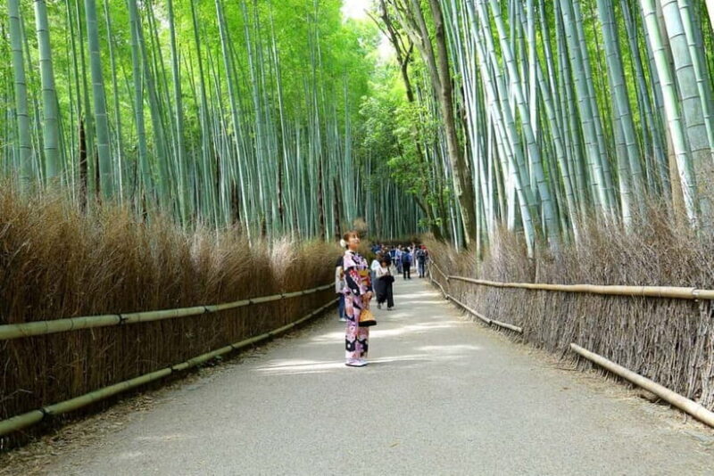 Arashiyama Highlights with Matcha Experience - Who Should Consider This Tour?